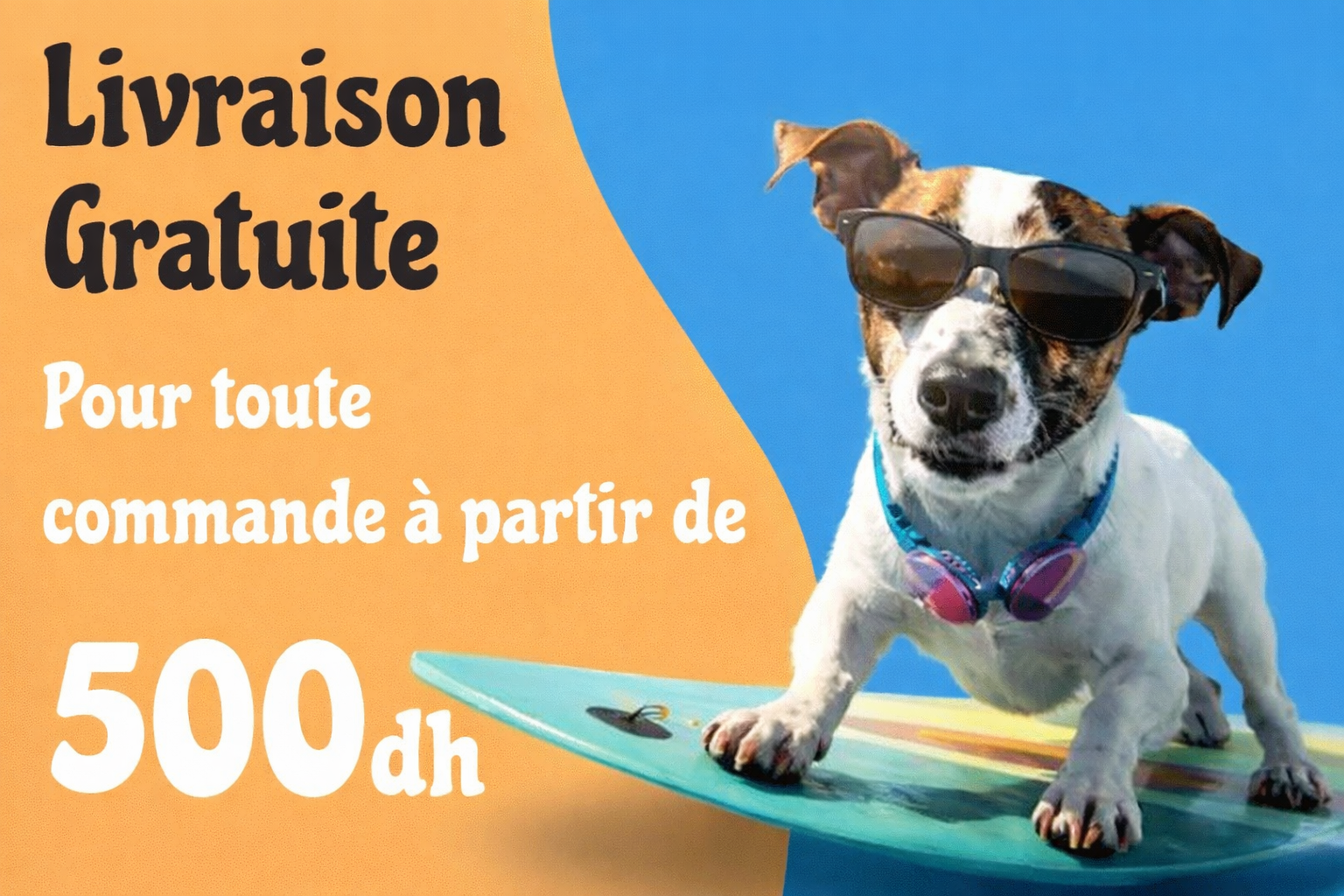 Comment bien voyager avec son animal au Maroc ? - Petiz